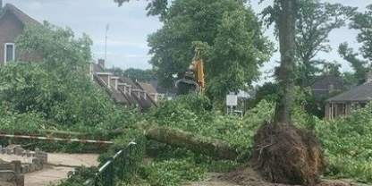 Windhoos Poly op de Veluwe: snel handelen voor onze leden